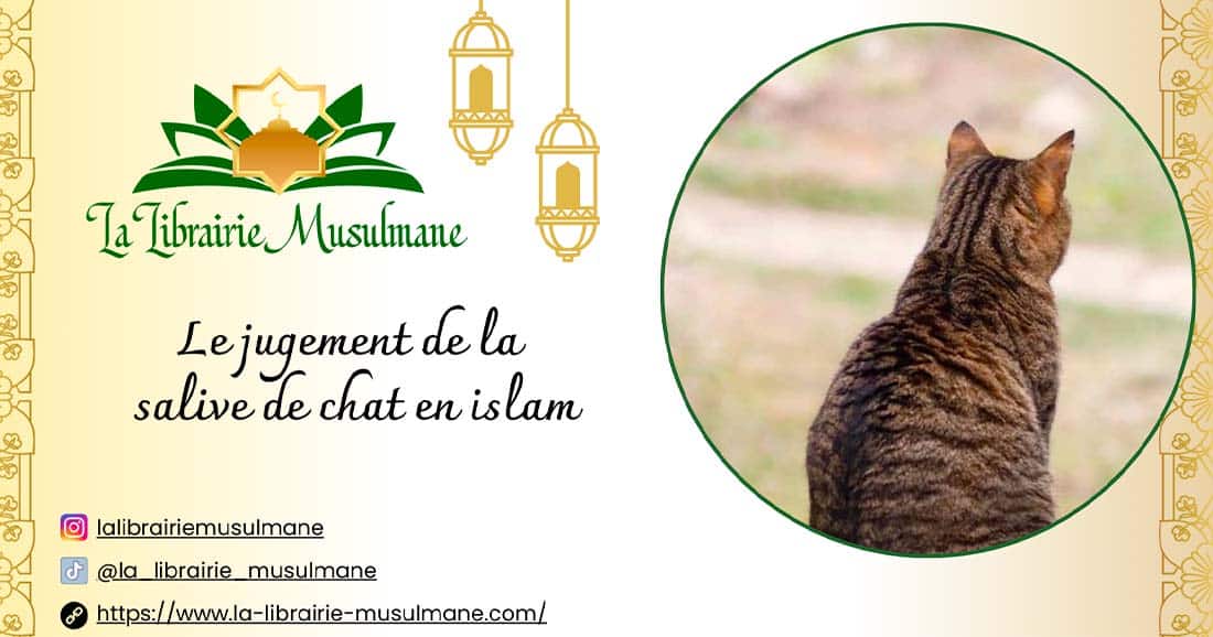 Avoir un chat selon l'islam : règles et considérations - Halal Life