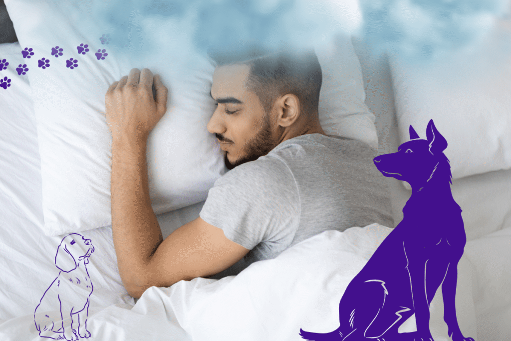 Dream interpretation: what does it mean to dream of a dog in Islam ...