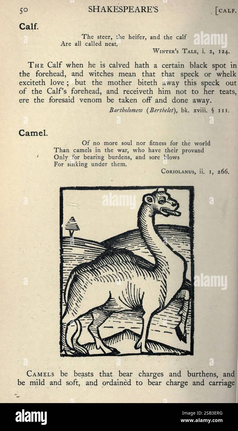 Houris dans le Coran : Comprendre leur rôle et leur symbolisme pour les ...