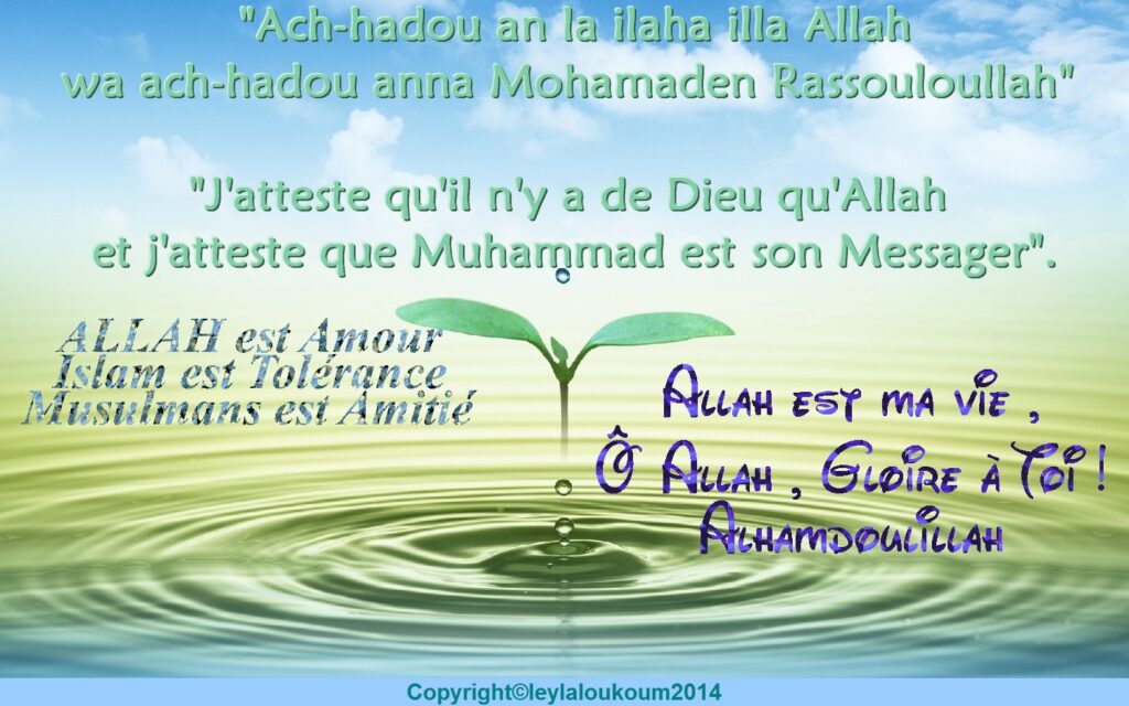 Comprendre la chahada : Son importance et sa signification en islam ...